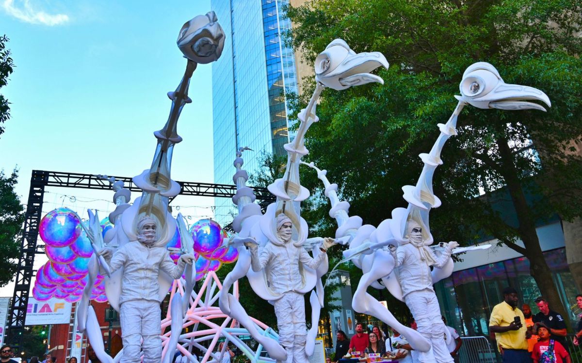 Birdmen | Charlotte International Arts Festival
